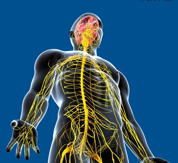 Eliminating Multiple Nerve Compression Patterns Combination, Dallas TX ...